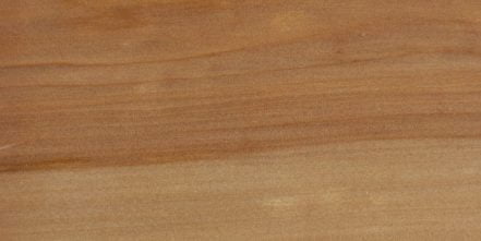 Species - Rare Woods SA