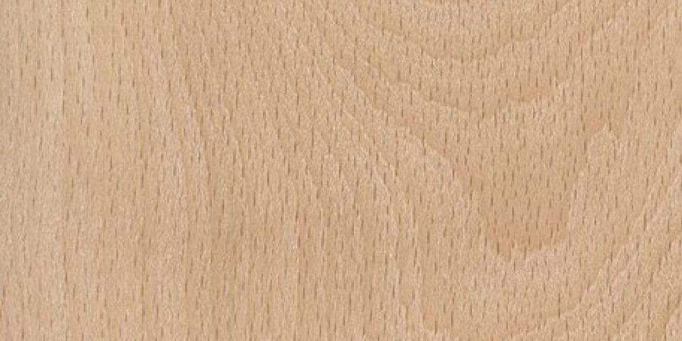 Beech - American - Rare Woods SA