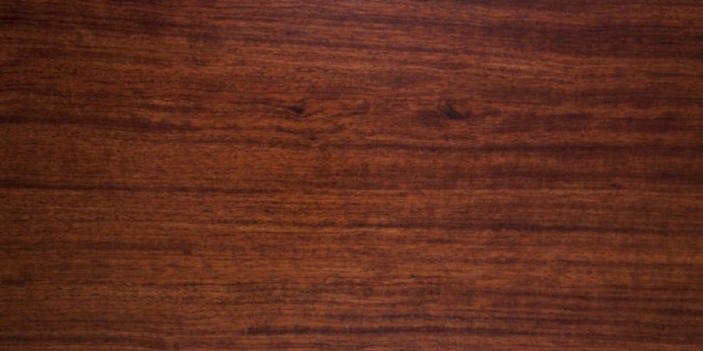 Bubinga - Rare Woods SA