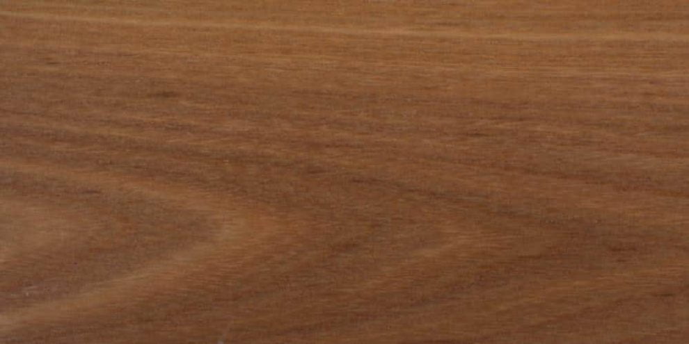 Elm - Red - Rare Woods SA