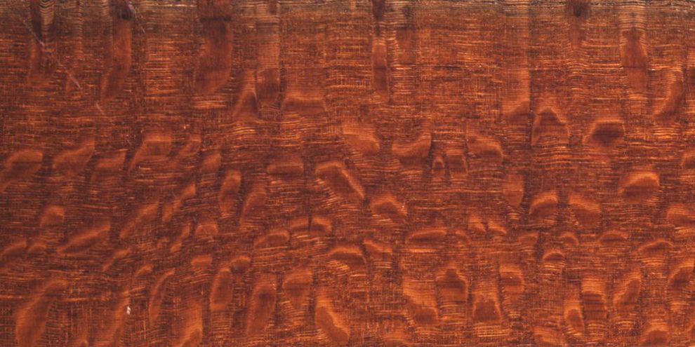 Lacewood - Rare Woods SA