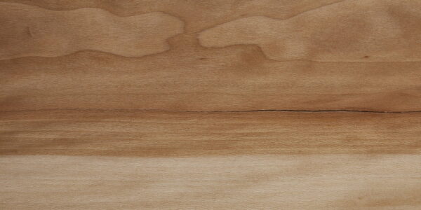 Sycamore - American - Rare Woods SA