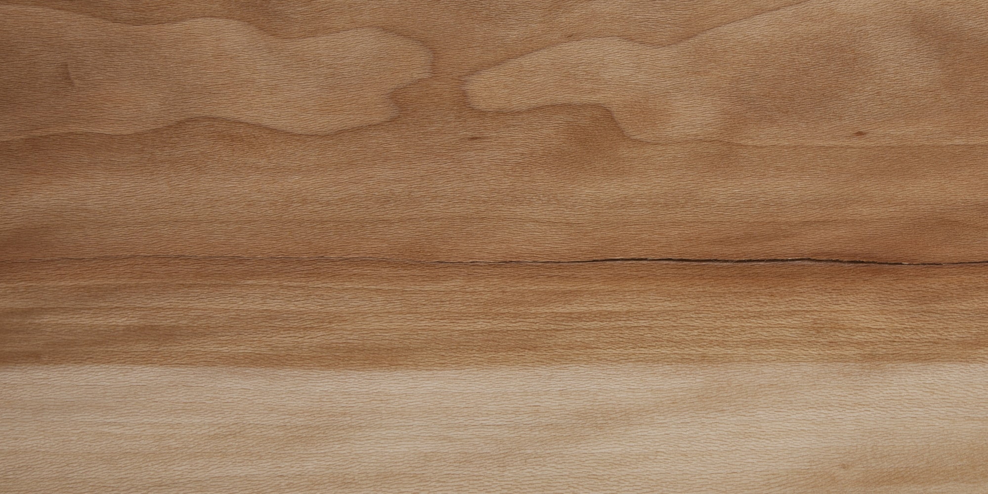 Sycamore - American - Rare Woods SA