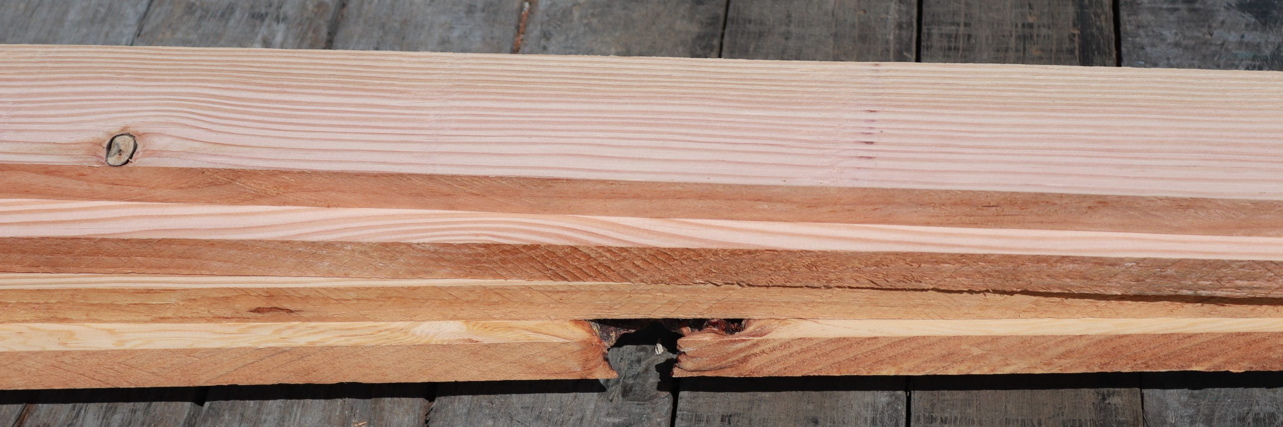 Pine - Oregon Merch - Rare Woods SA