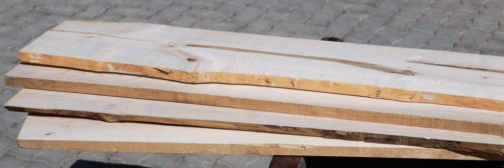 Sycamore - French - Rare Woods SA