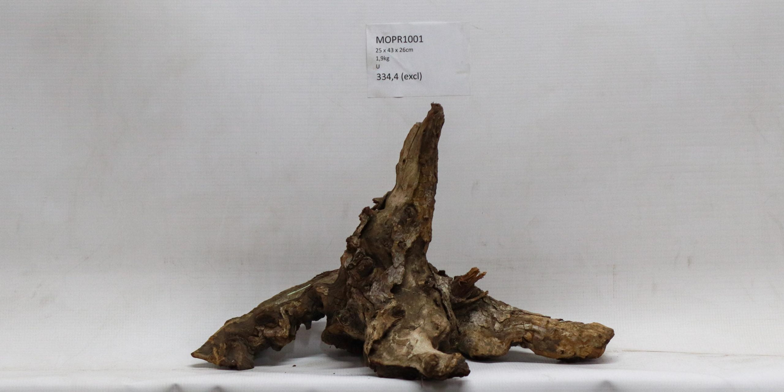 Mopane - Roots - Rare Woods SA