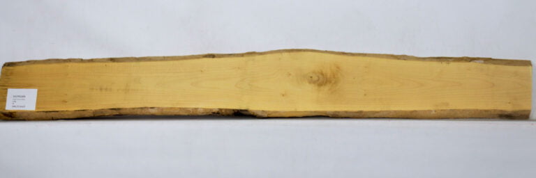 Sycamore - French - Rare Woods SA