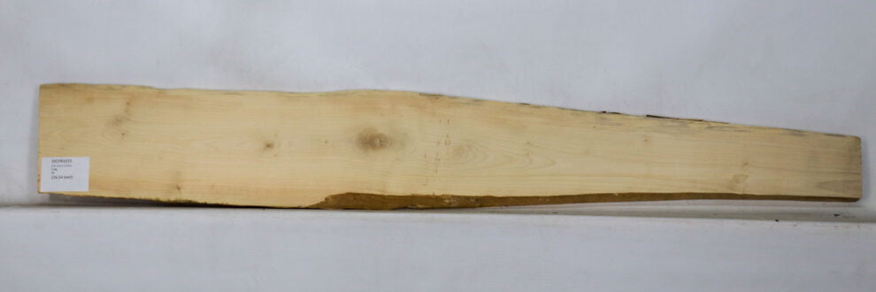 Sycamore - French - Rare Woods SA