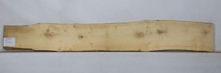 Sycamore - French - Rare Woods SA